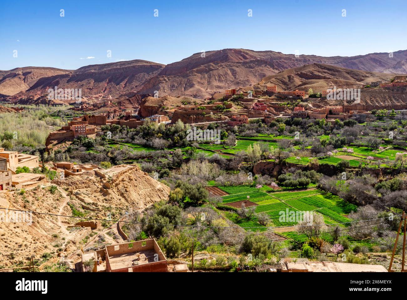 Morocco green plan hi-res stock photography and images - Alamy