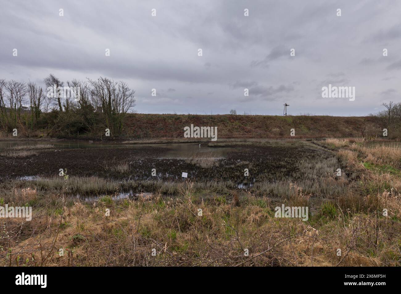 Insufficient drainage hi-res stock photography and images - Alamy
