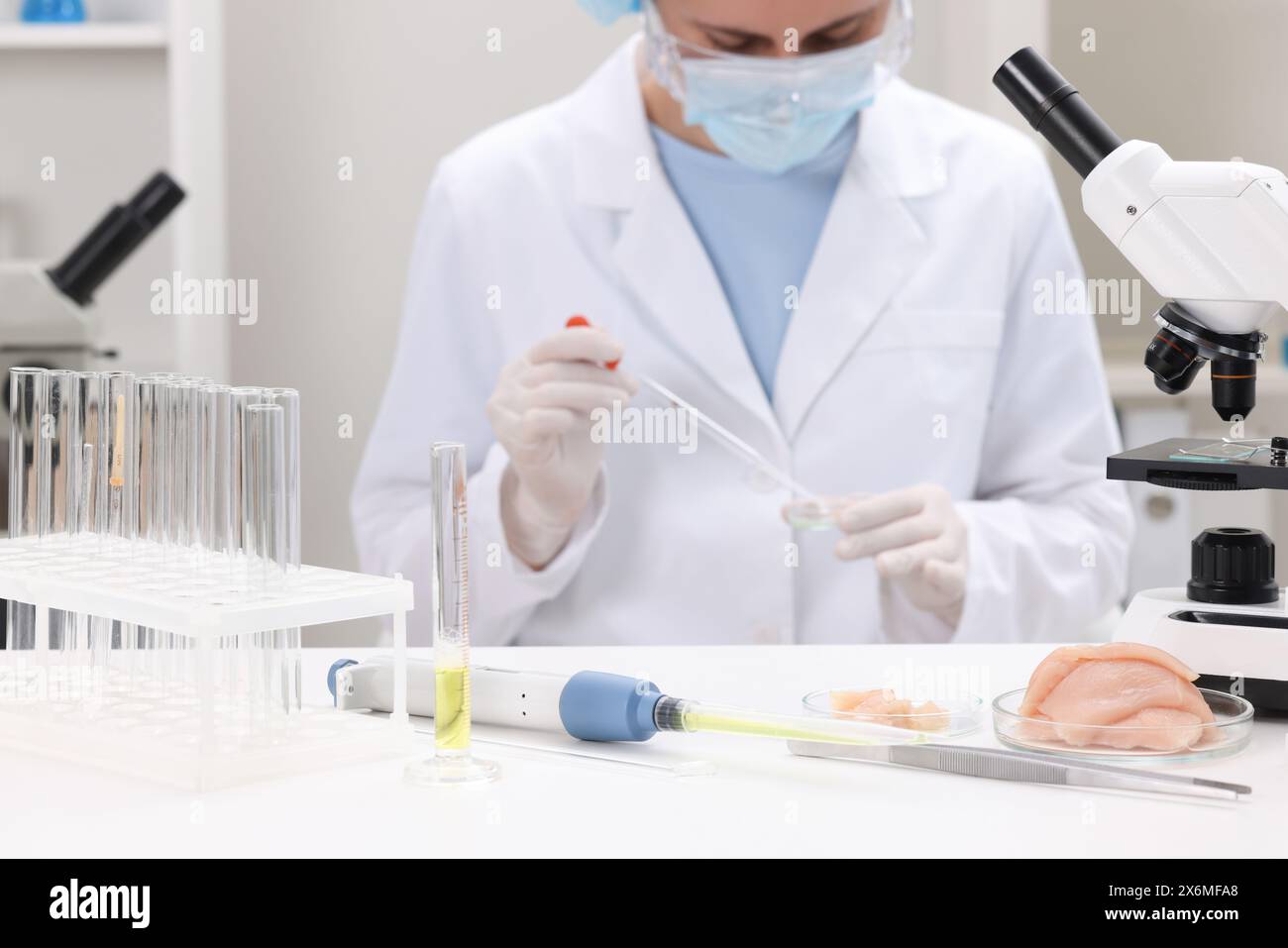 Quality control. Food inspector examining meat in laboratory Stock ...