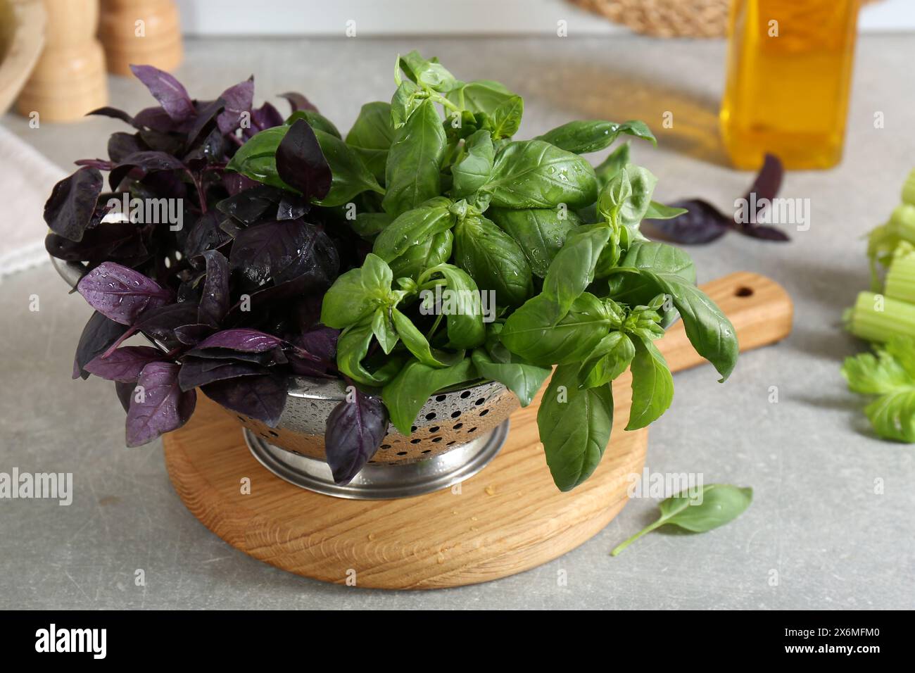 Metal colander with different fresh basil leaves on grey countertop ...