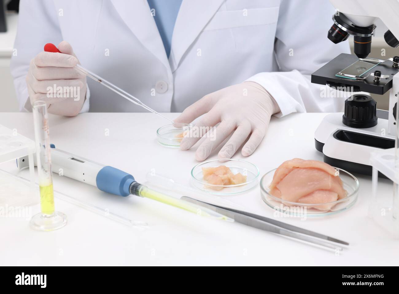 Quality control. Food inspector examining meat in laboratory, closeup ...