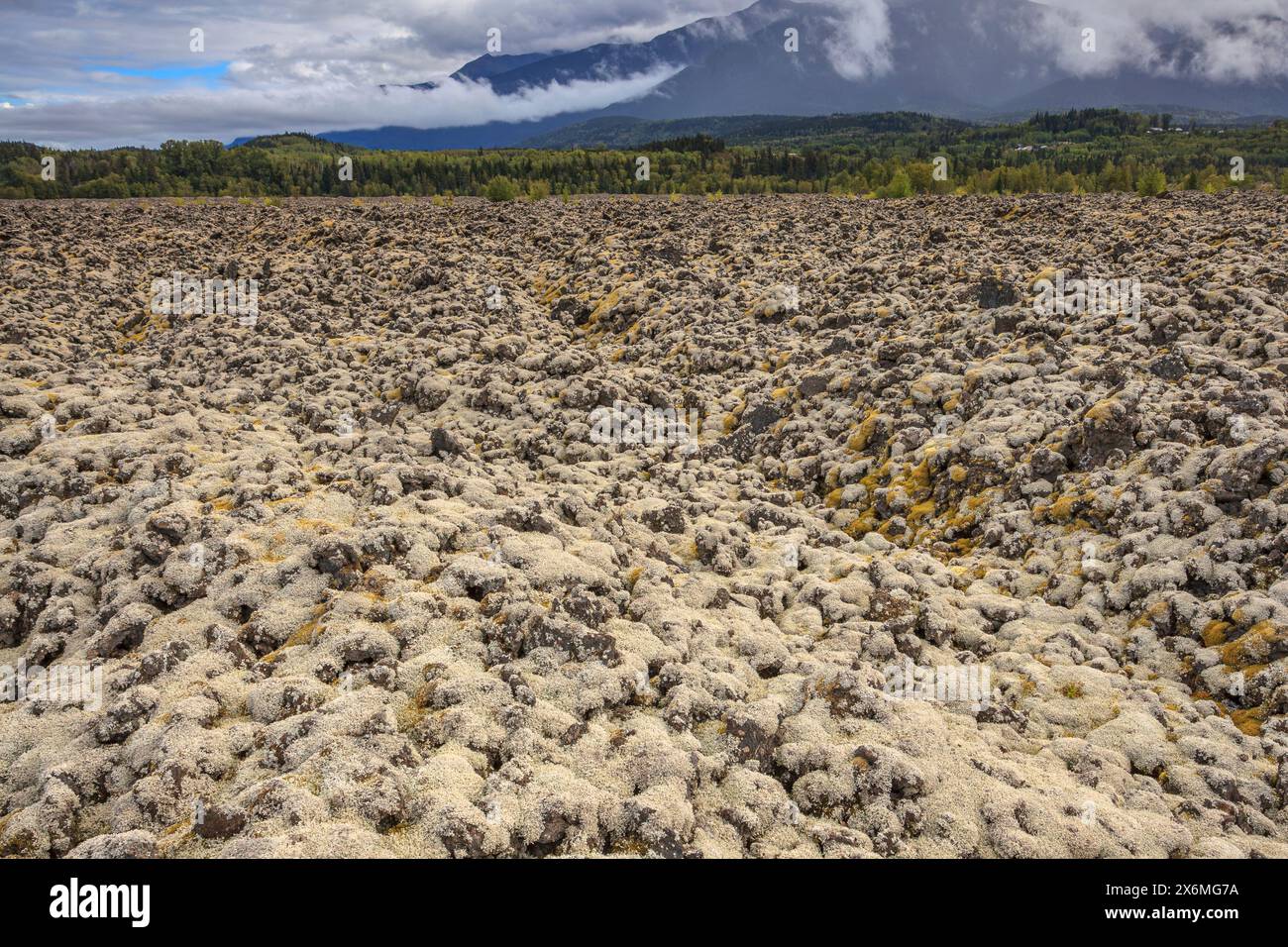 A vast field of blocky lava rocks covered in moss in the Nisga'a ...