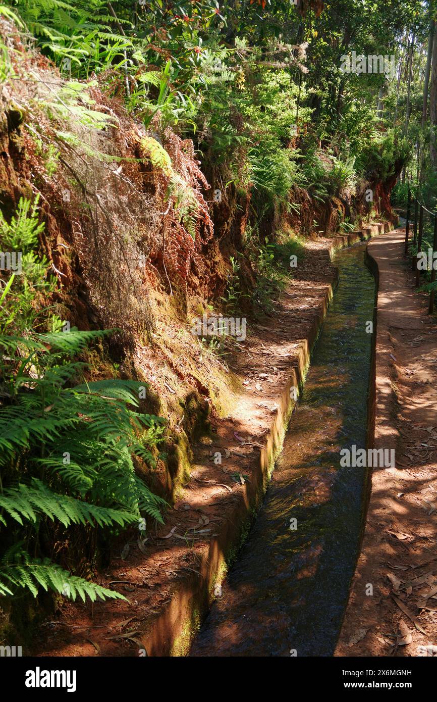 Madeira Levada Hike - Levada de Rei Stock Photo - Alamy