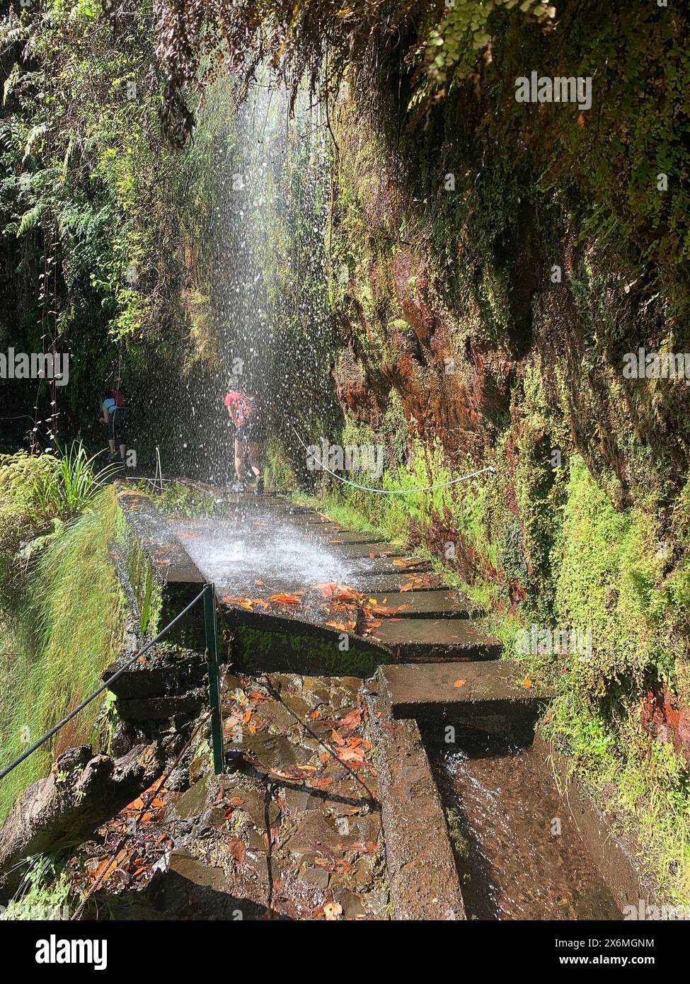 Irrigation channel madeira hiker hi-res stock photography and images ...