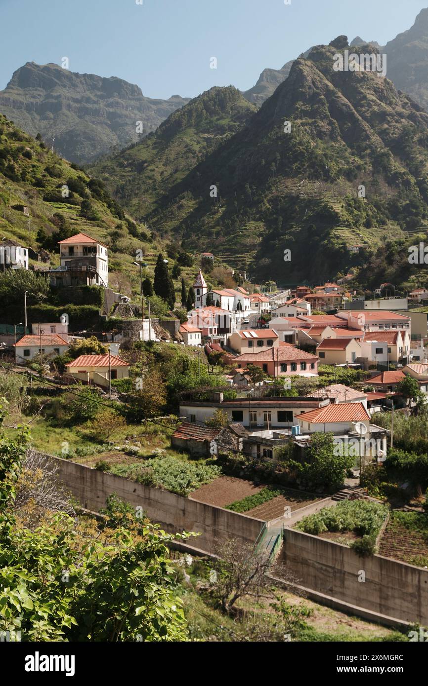 Madeira - Place in the mountains with vegetable cultivation Stock Photo ...