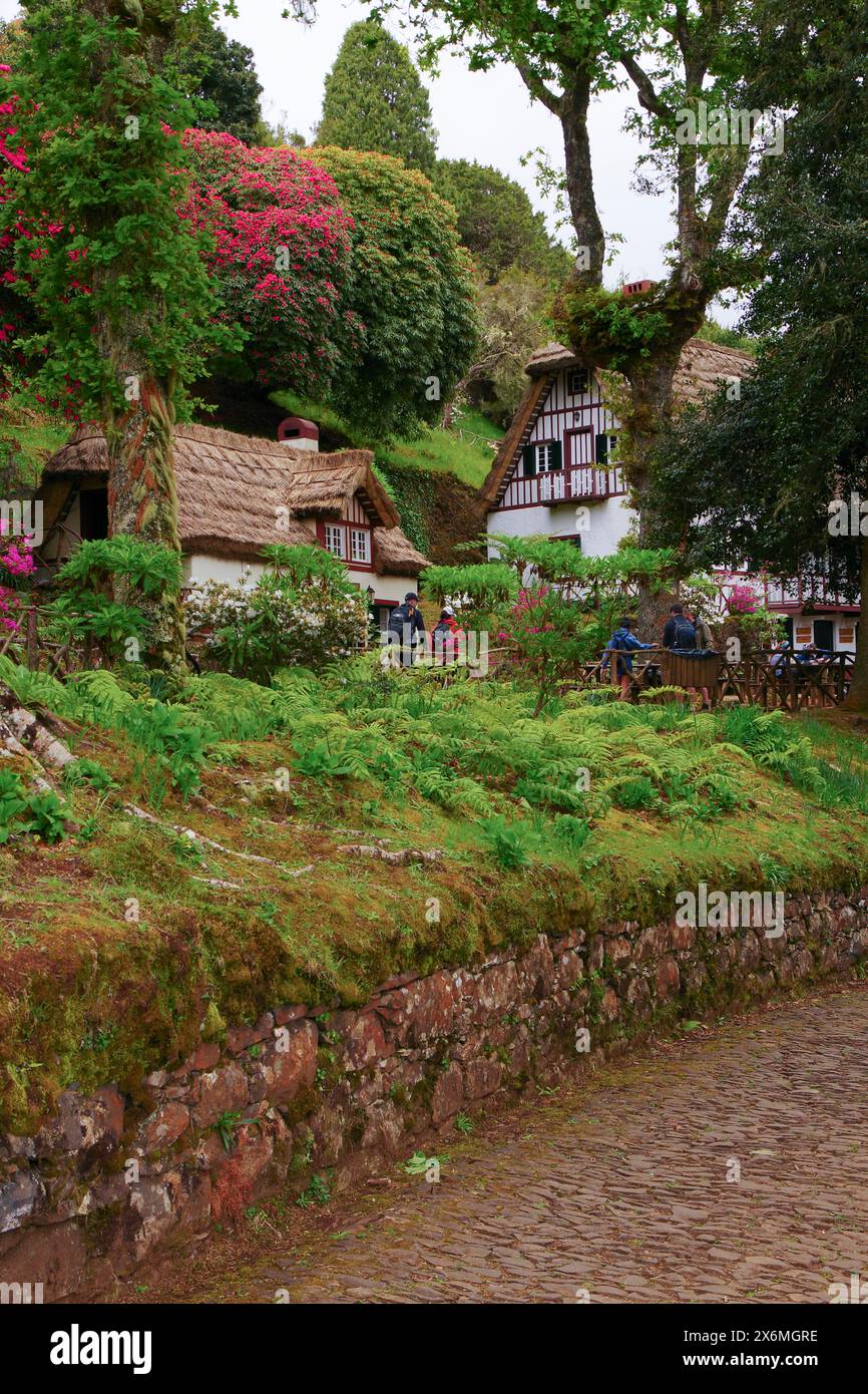 Madeira - Queimadas Park Stock Photo - Alamy