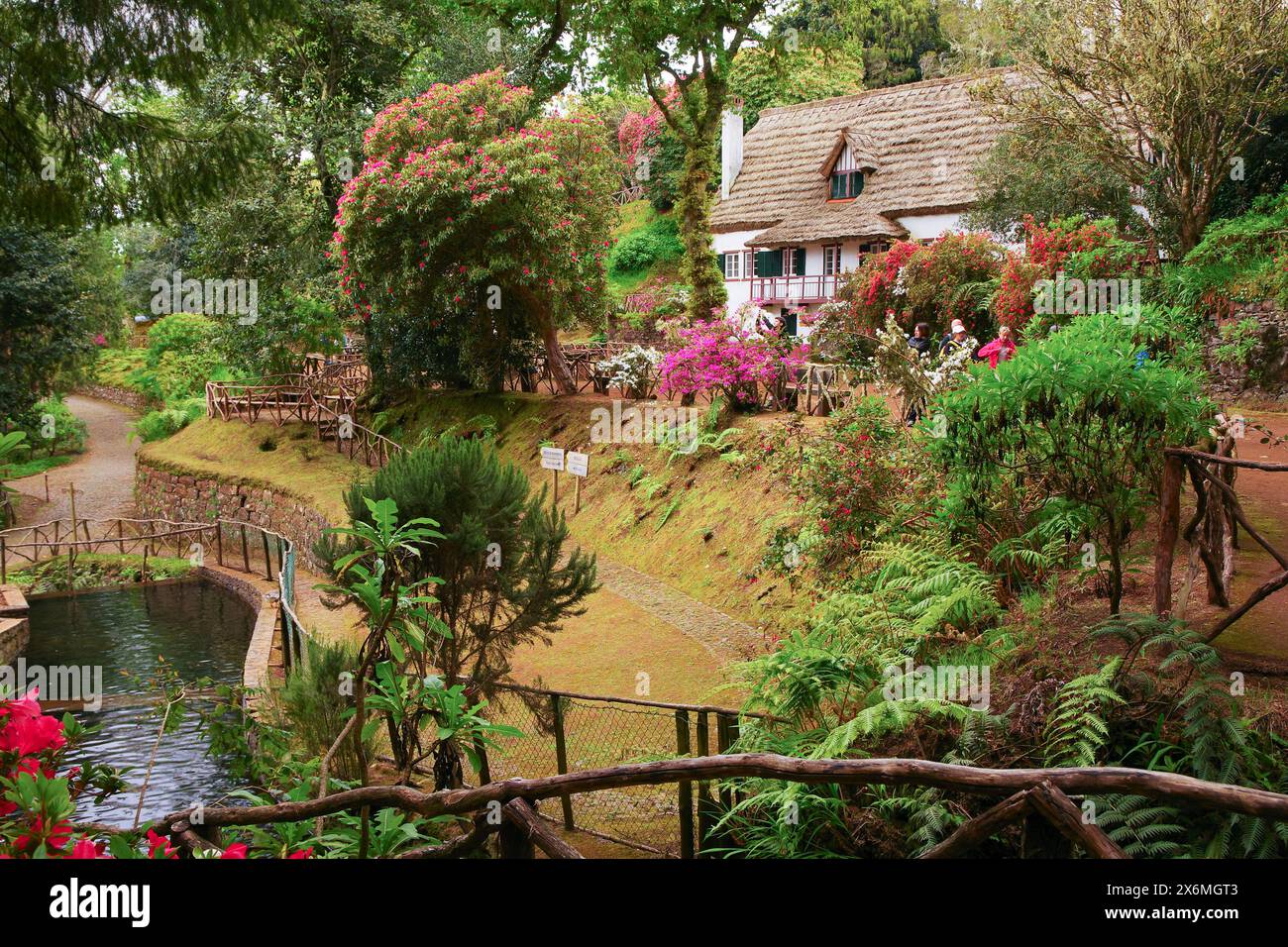 Madeira - Queimadas Park Stock Photo - Alamy