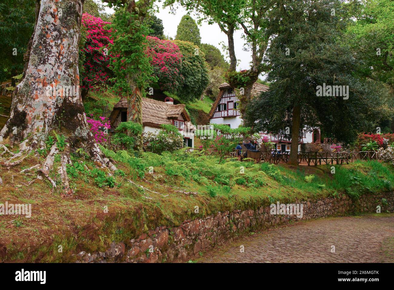 Madeira - Queimadas Park Stock Photo - Alamy