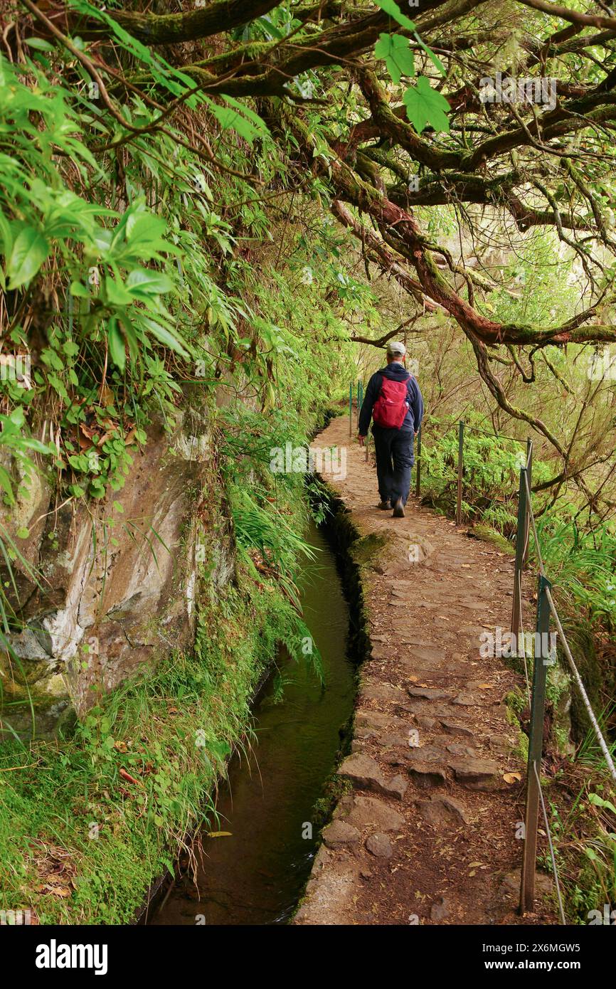 Irrigation channel madeira hiker hi-res stock photography and images ...