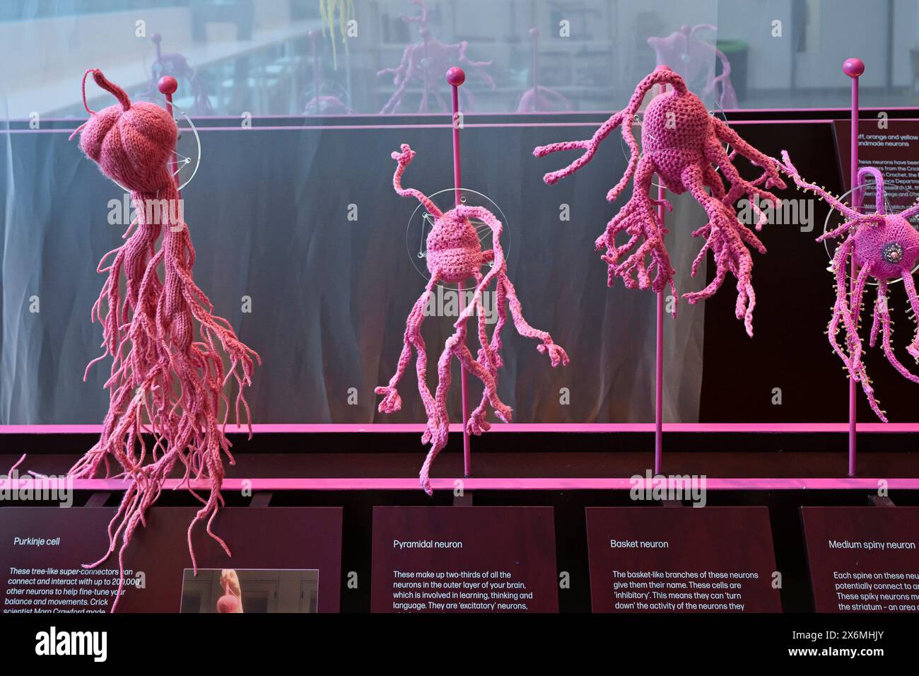knitted neurons from Neural Knitworks, Hello Brain!, exhibition, Manby Gallery, Francis Crick ...