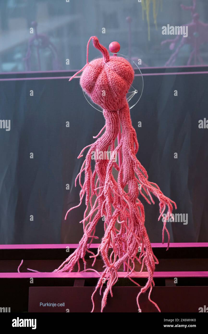 knitted neurons from Neural Knitworks, Hello Brain!, exhibition, Manby Gallery, Francis Crick ...