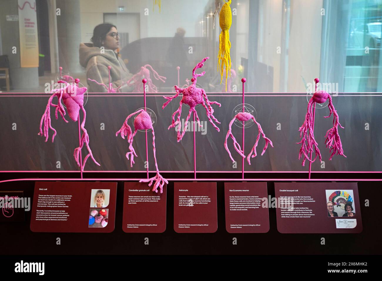 knitted neurons from Neural Knitworks, Hello Brain!, exhibition, Manby Gallery, Francis Crick ...