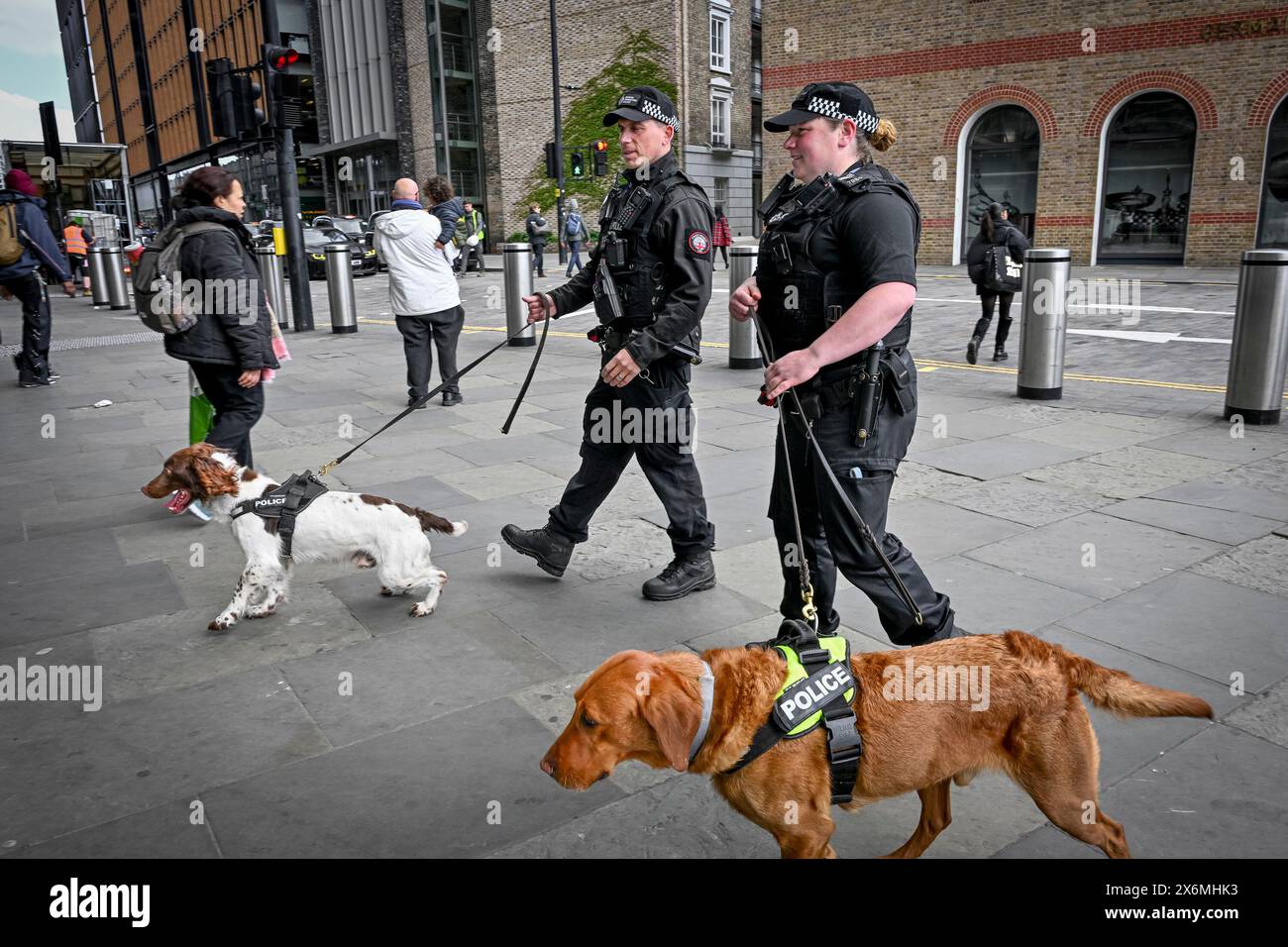 British Transport Police with dogs, St Pancras railway station, London ...
