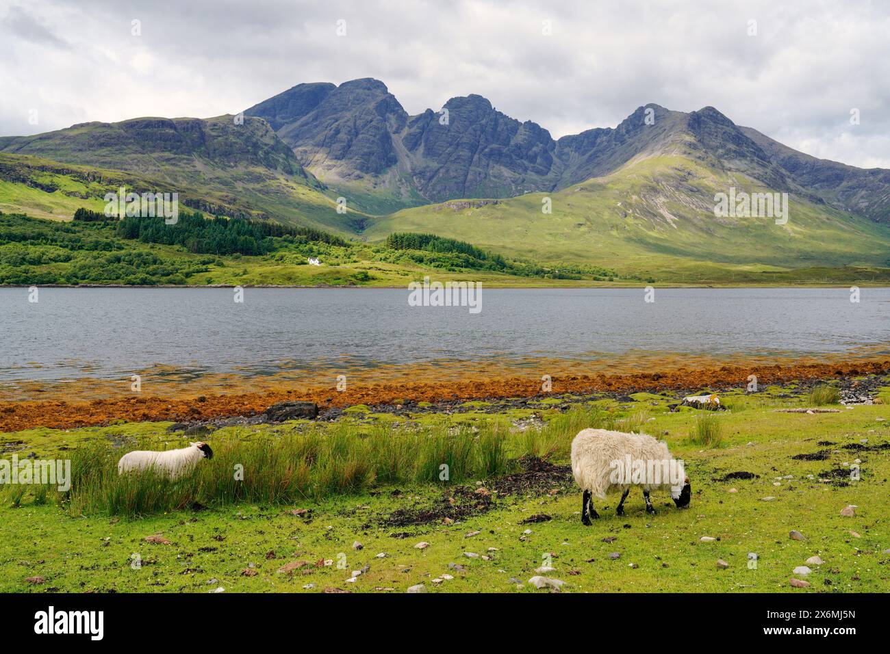 Great Britain, Scotland, Isle of Skye, Torrin, on the way west to Elgol ...