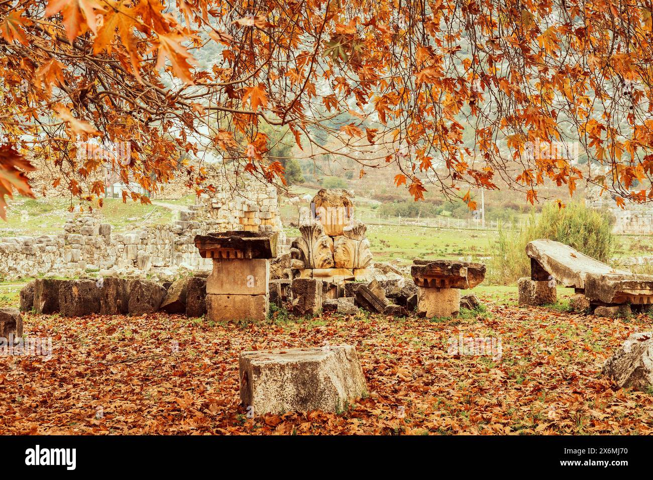 Remnants of ancient stone structures surrounded hi-res stock ...