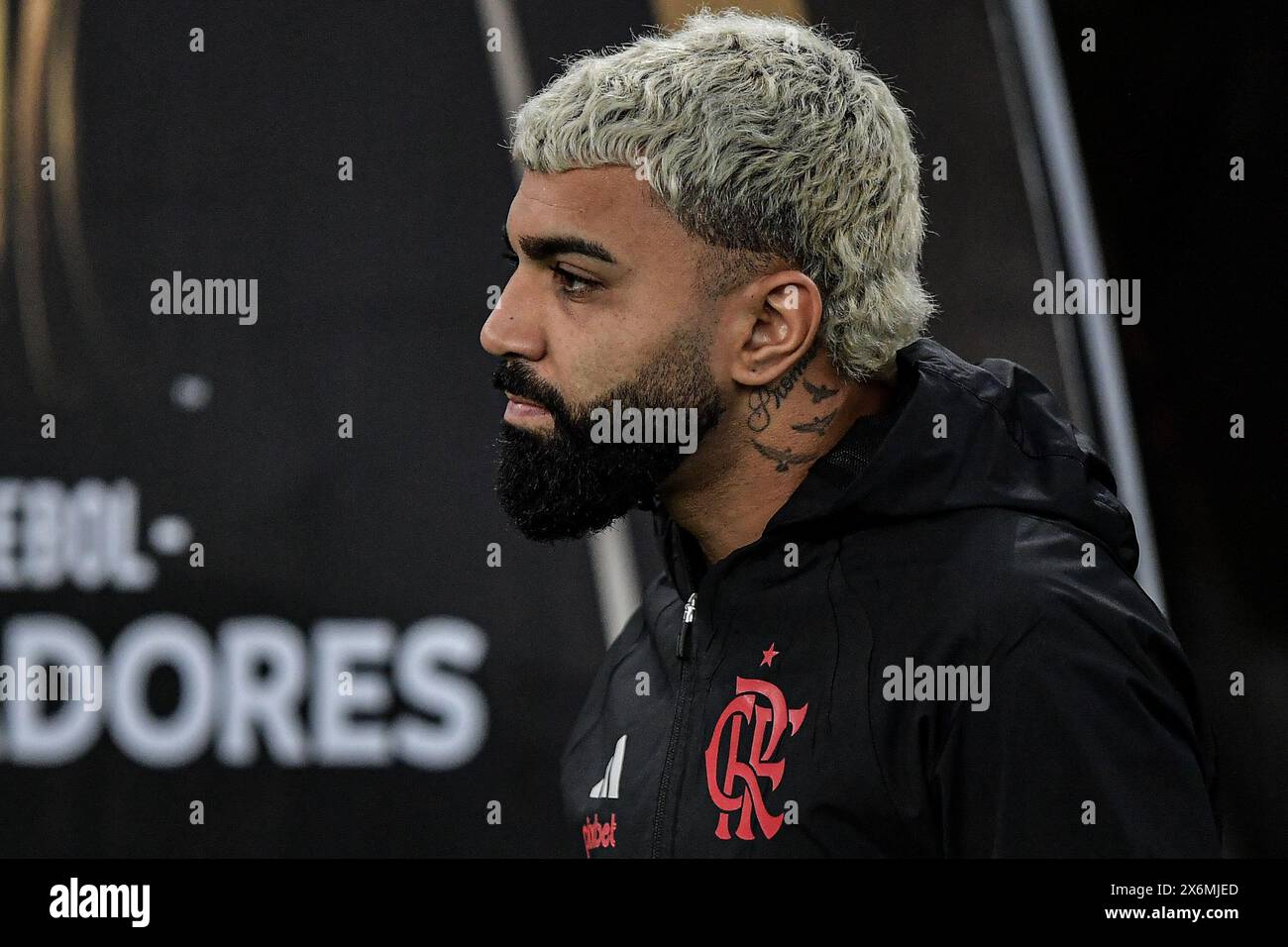 Gabigol 2024 hi-res stock photography and images - Alamy