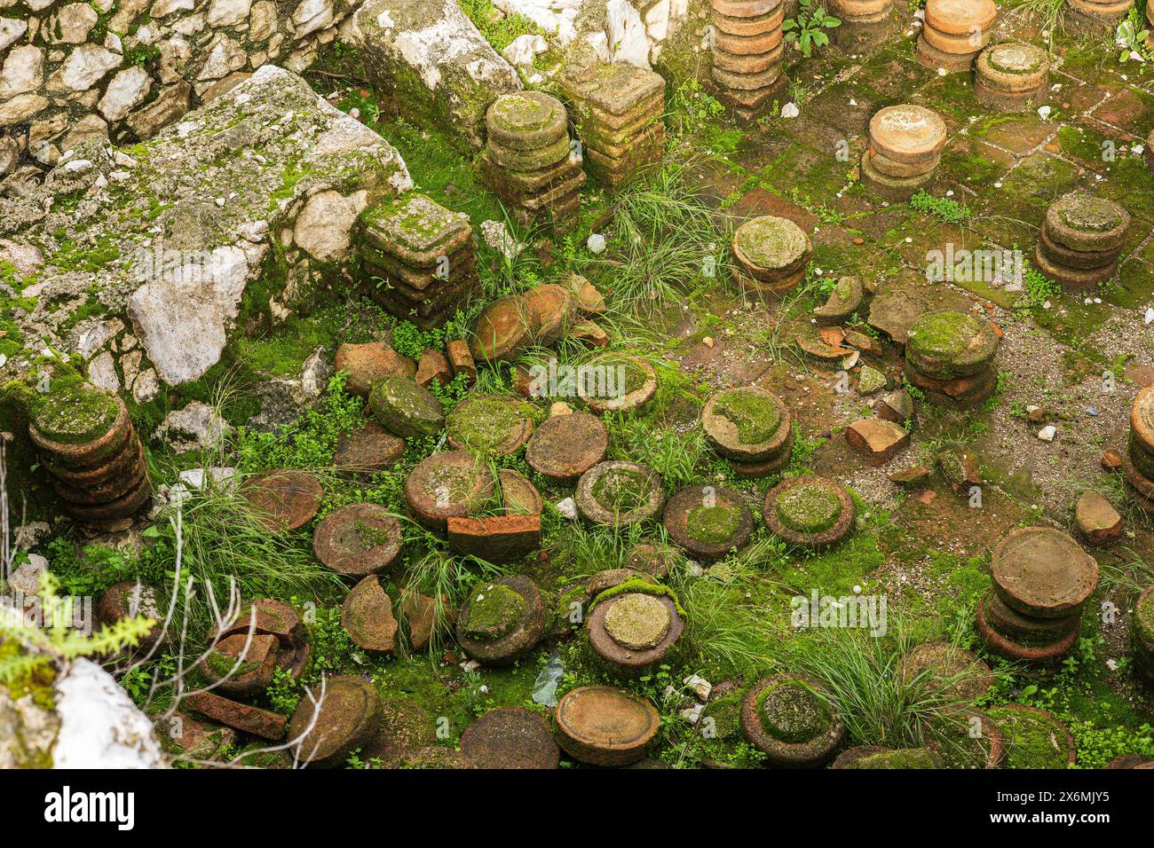 Ancient amphitheater with overgrown vegetation and stone arch Stock ...