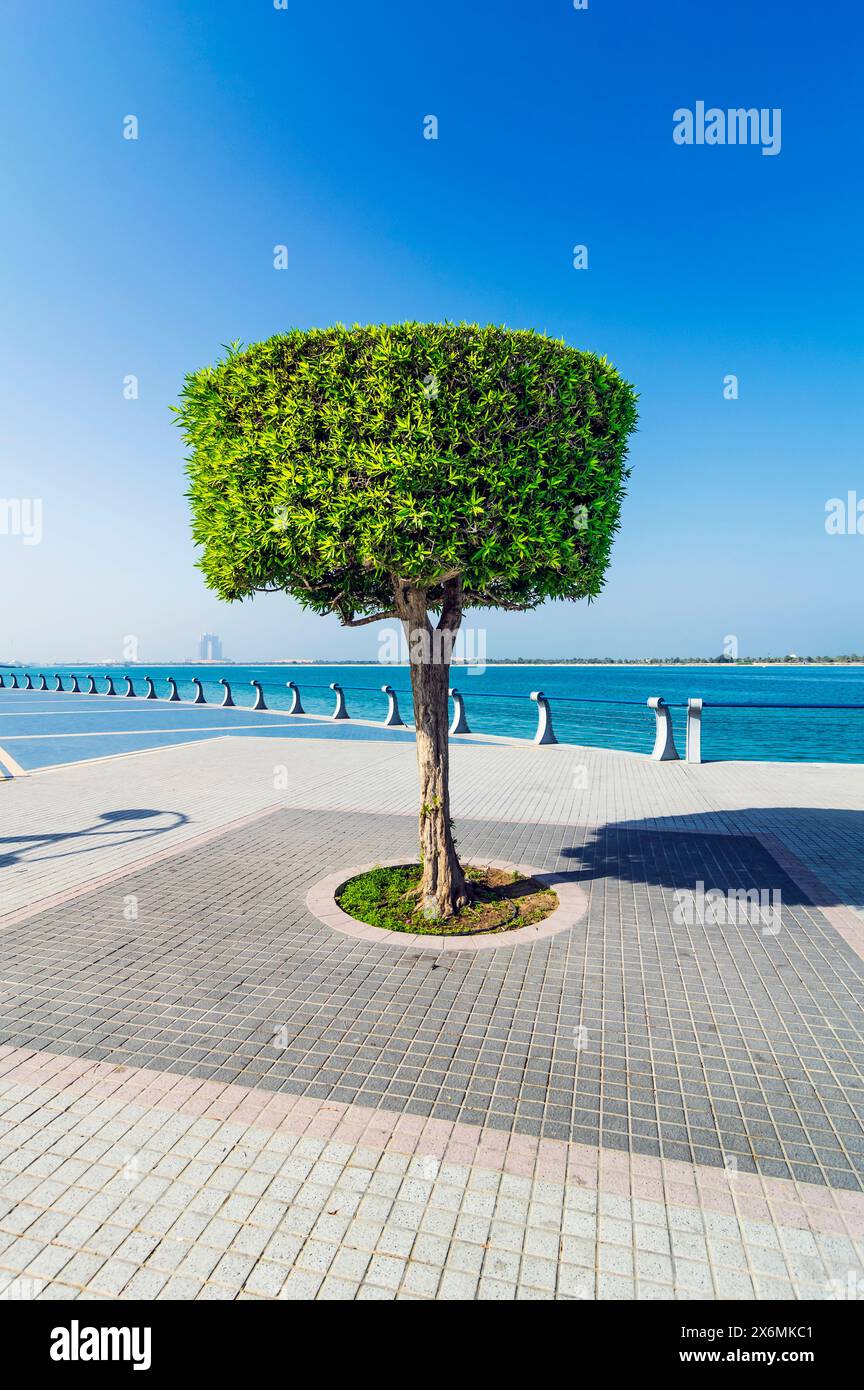 Promenade in Abu Dhabi, capital of the United Arab Stock Photo - Alamy