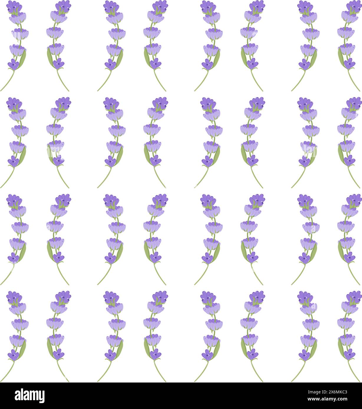 A sprig of lavender. Purple flower. Seamless pattern. Vector ...