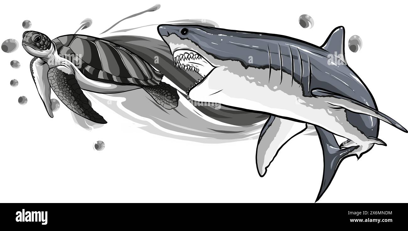 monochrome shark attack sea turtle vector illustration Stock Vector ...