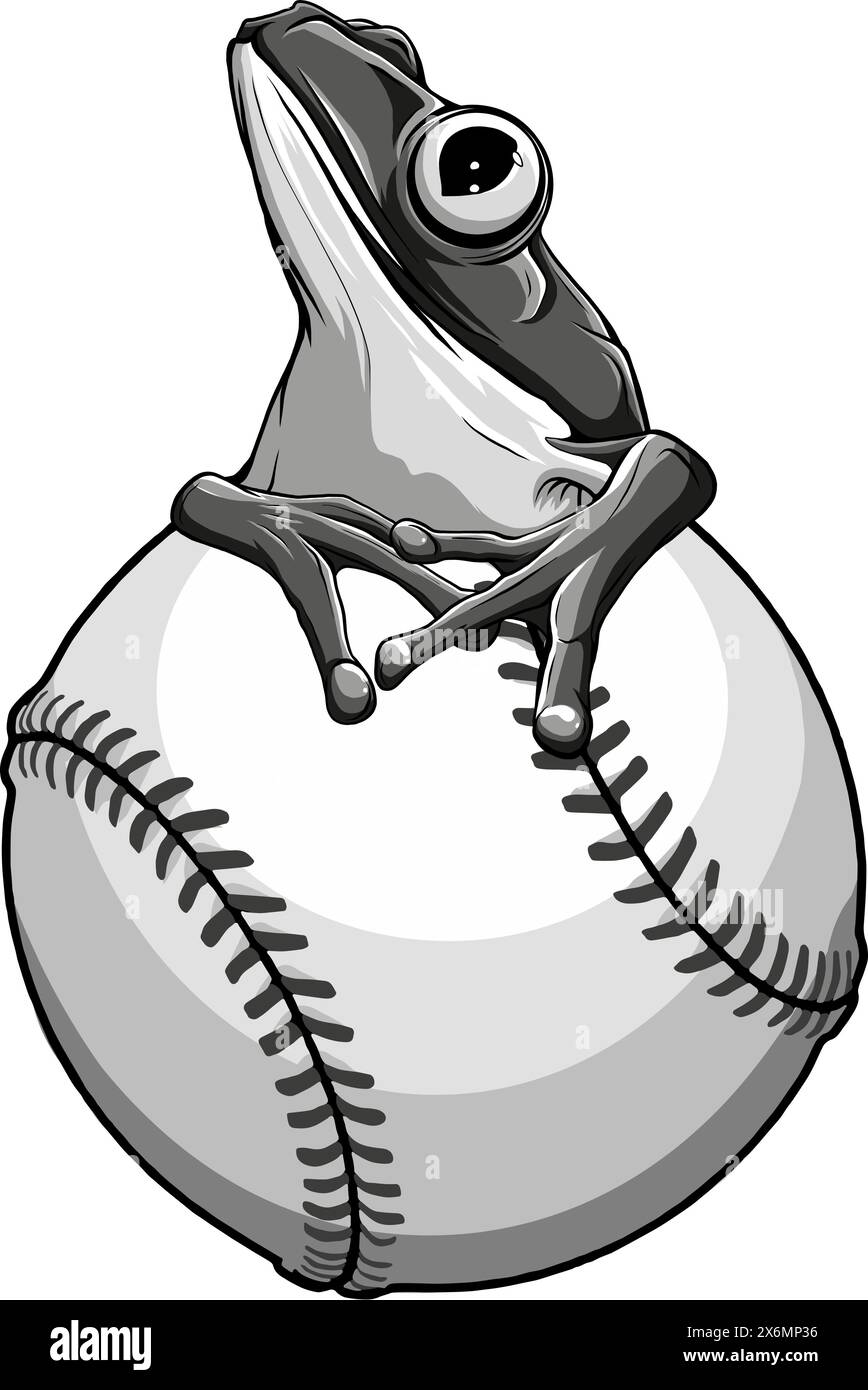 vector illustration of Monochrome frog sitting on Baseball ball on a ...