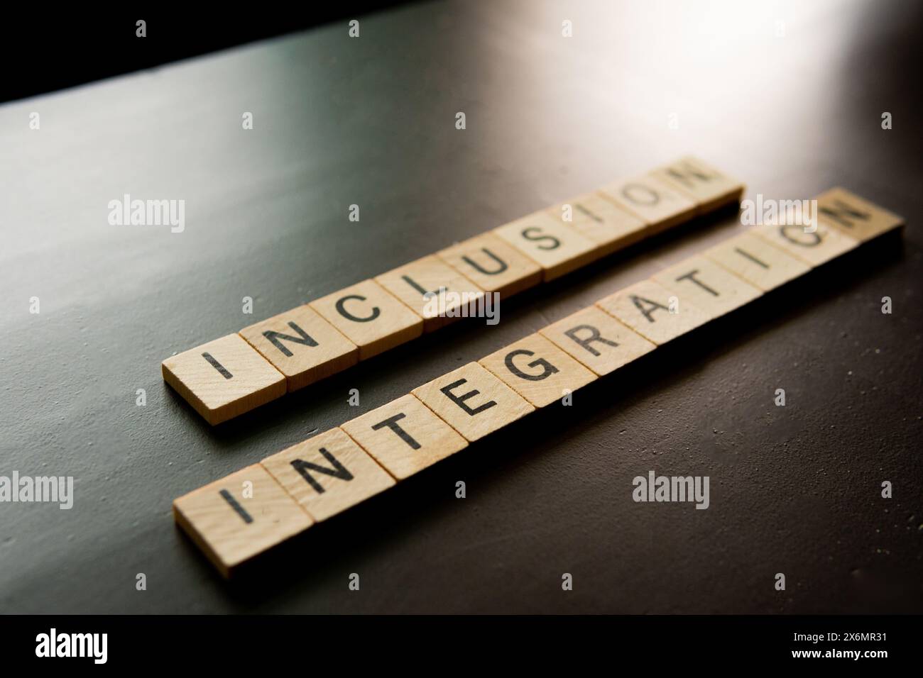 Wooden Blocks Spelling Out Inclusion and Integration on a Dark Surface ...