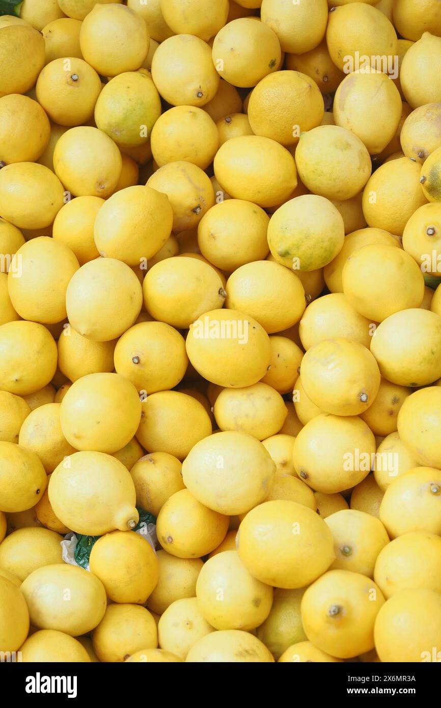 Lemon selling in supermarkets in istanbul Stock Photo - Alamy