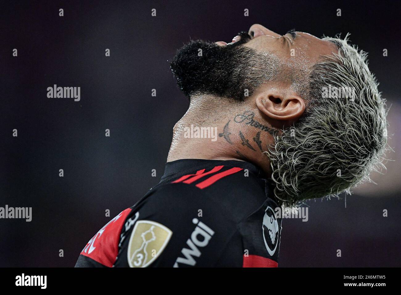 Gabigol 2024 hi-res stock photography and images - Alamy