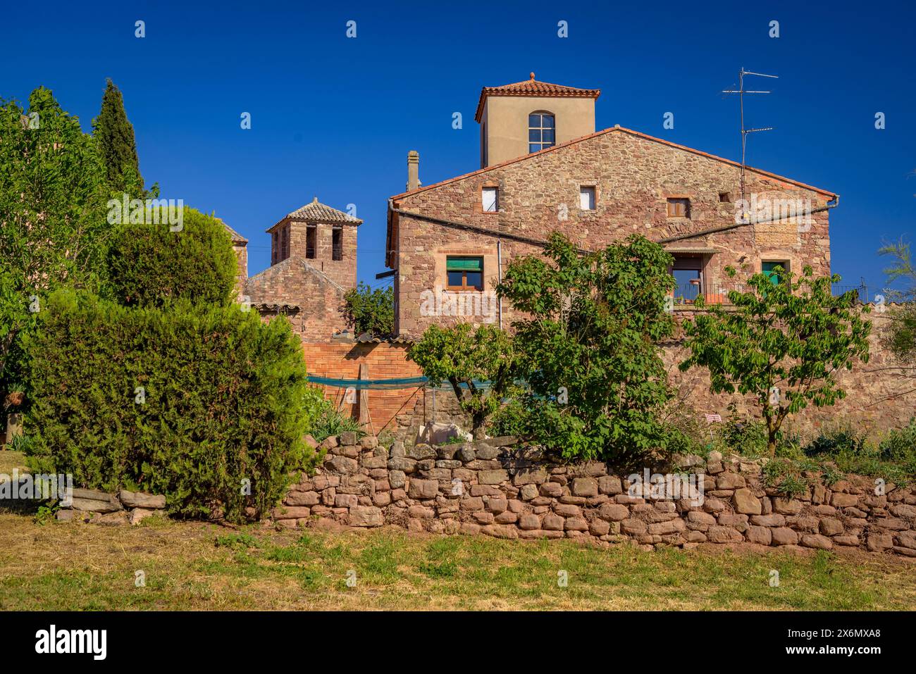árbol de sol hi-res stock photography and images - Alamy