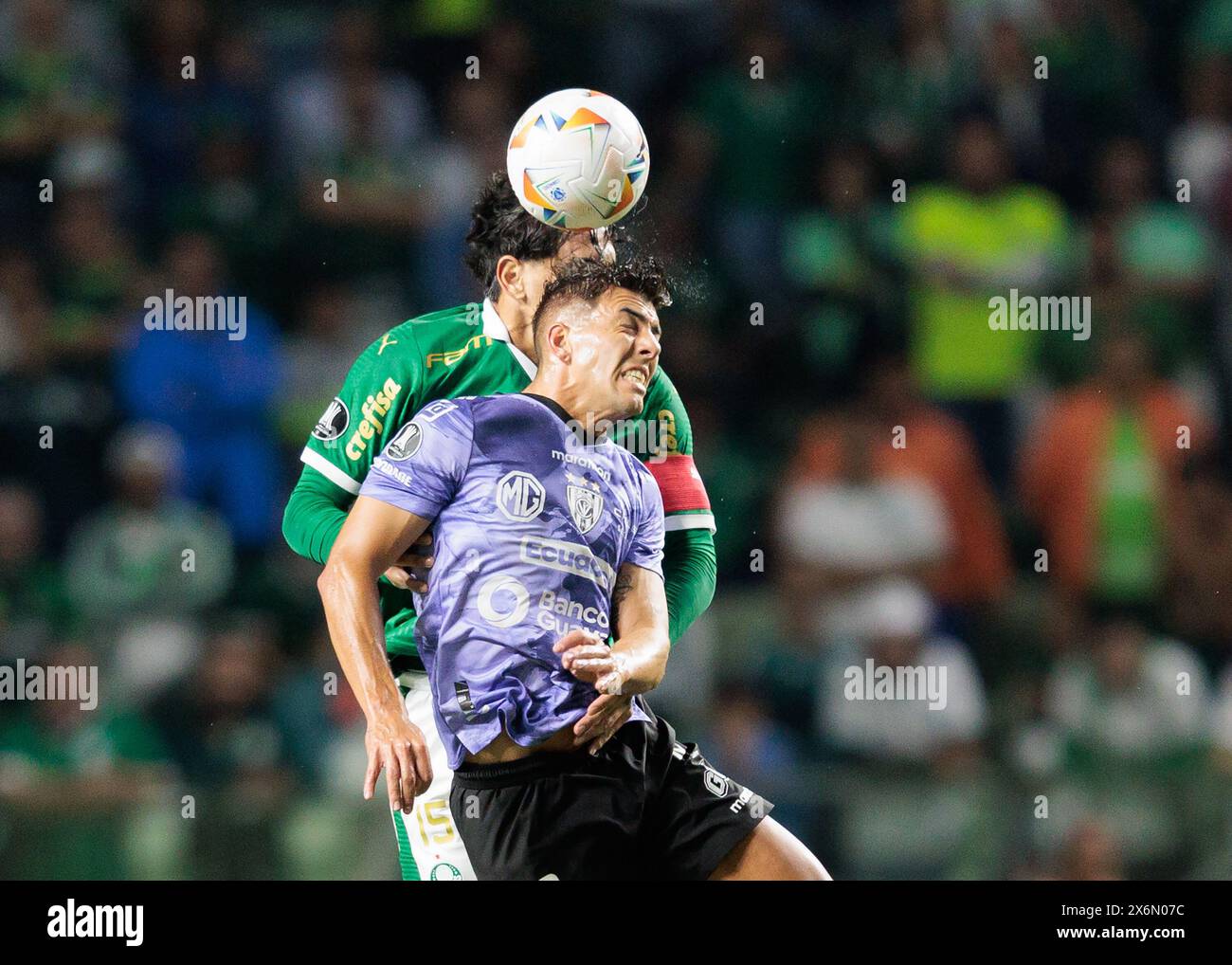 Allianz parque stadium hi-res stock photography and images - Alamy