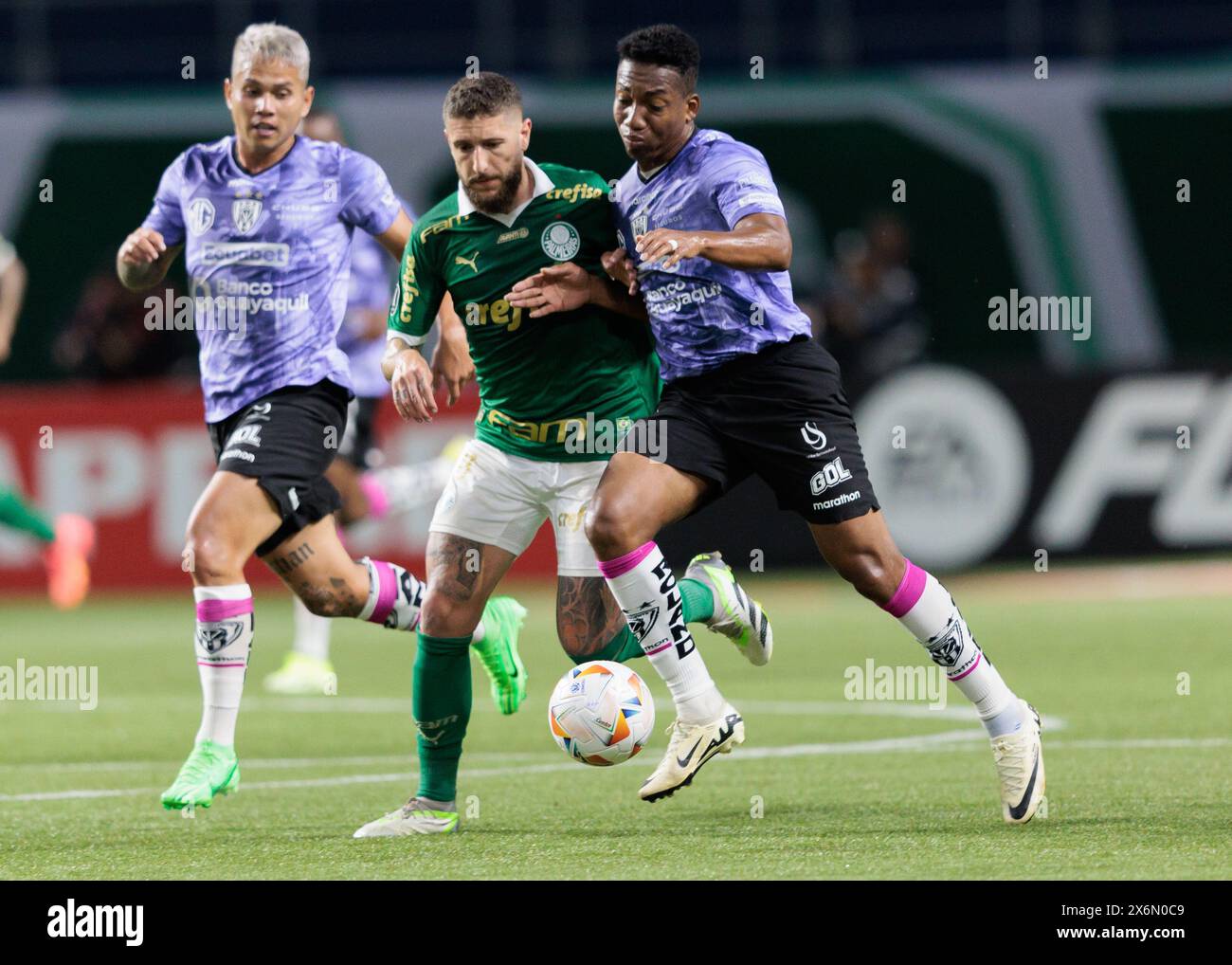 São Paulo, Brazil - May 14th, 2024 - Football / Palmeiras (BRA) x ...