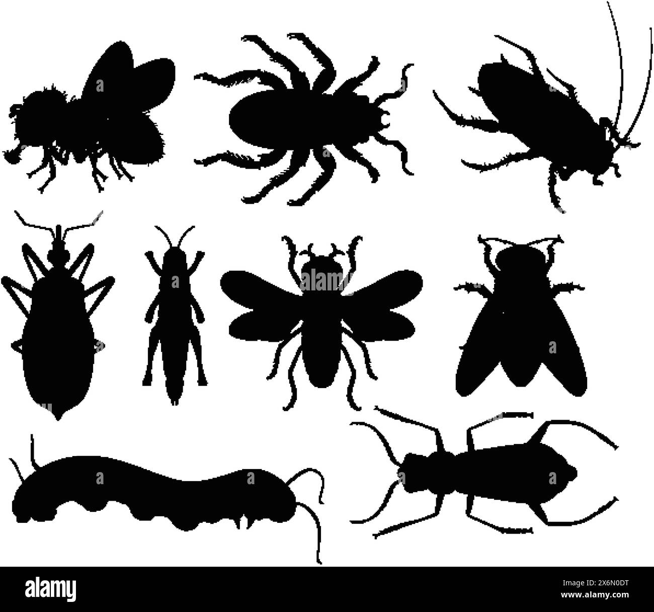 Collection of different insect silhouettes in black Stock Vector Image ...