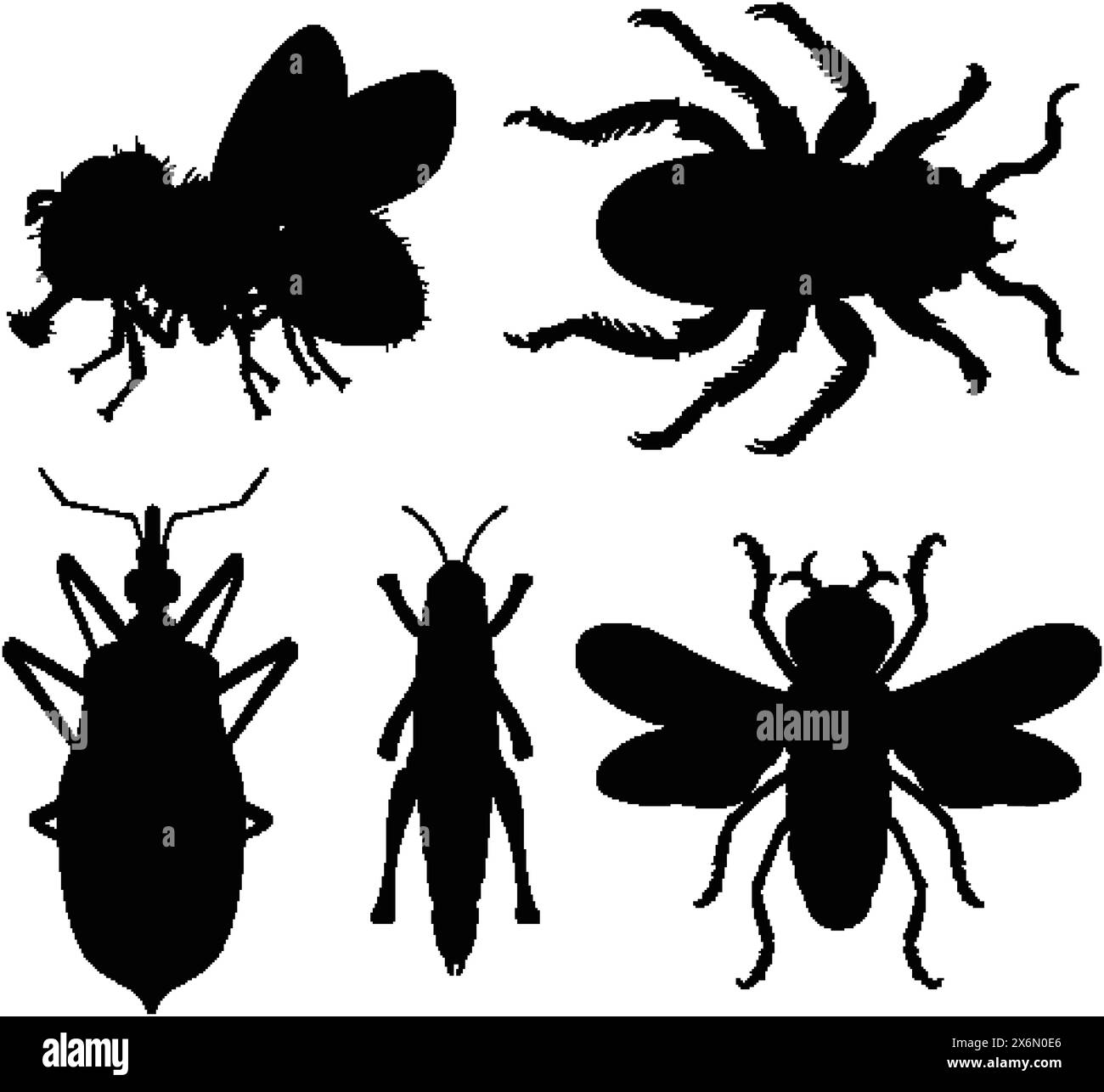 Black silhouettes of five different insects Stock Vector Image & Art ...