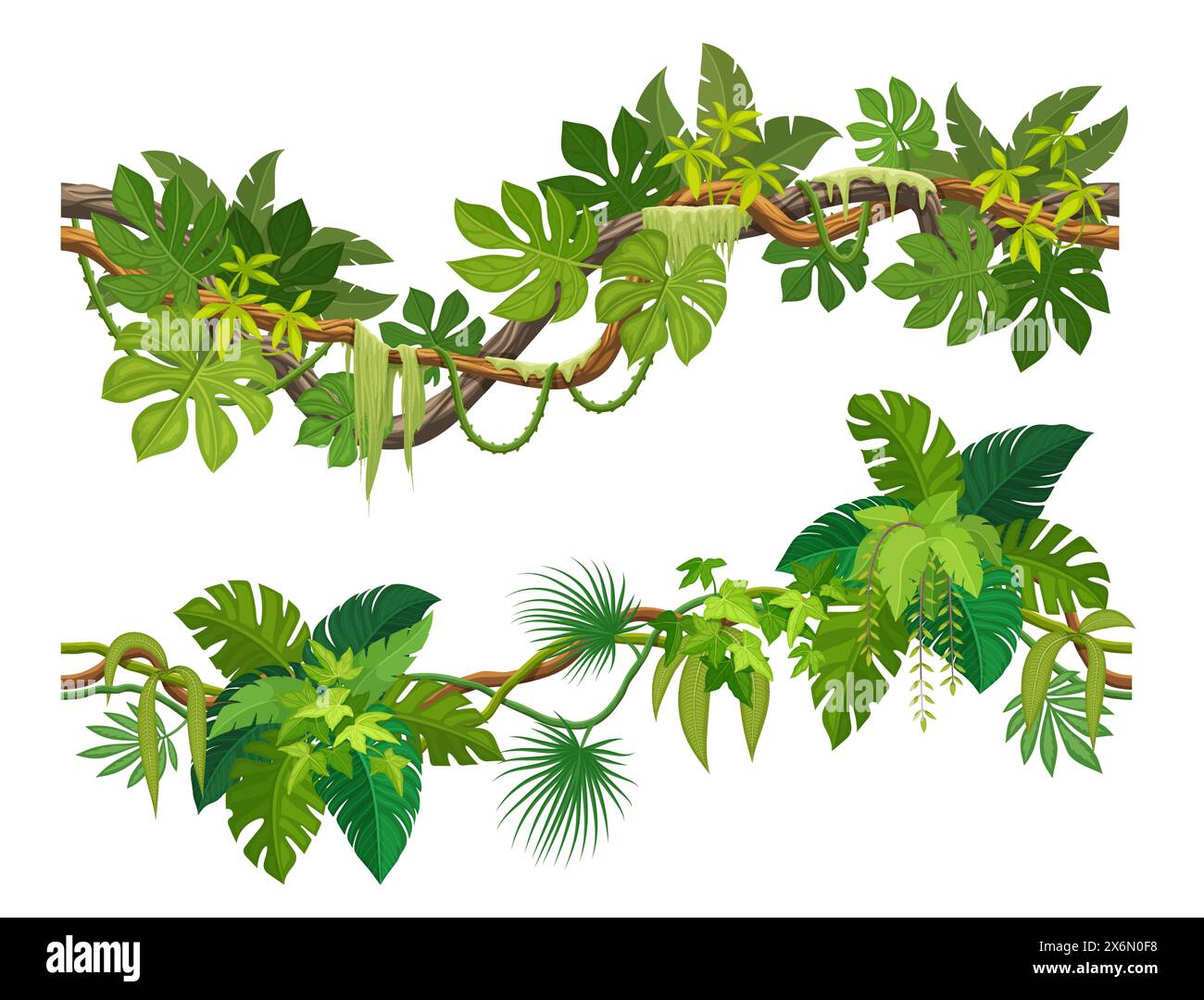 Tropical jungle forest liana branch. Cartoon vector vines, tree, plant ...