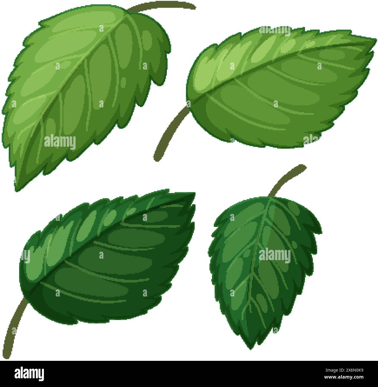 Lush plant textures Stock Vector Images - Alamy