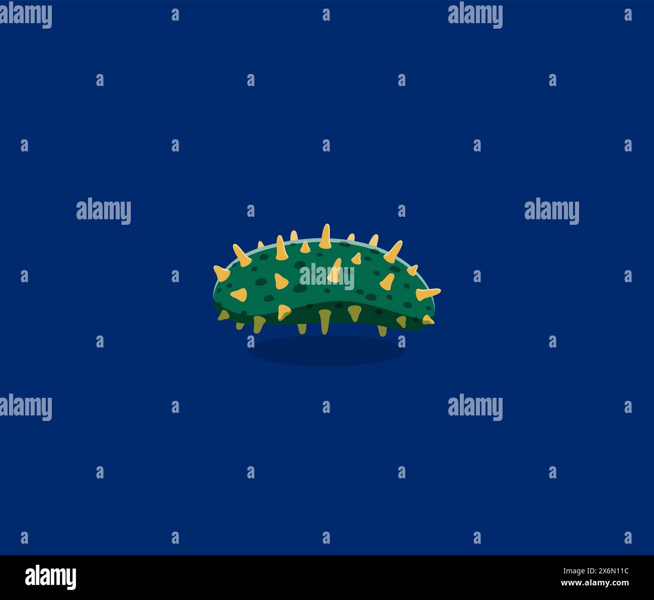 Underwater sea animals in font or undersea type of dash as sea cucumber ...