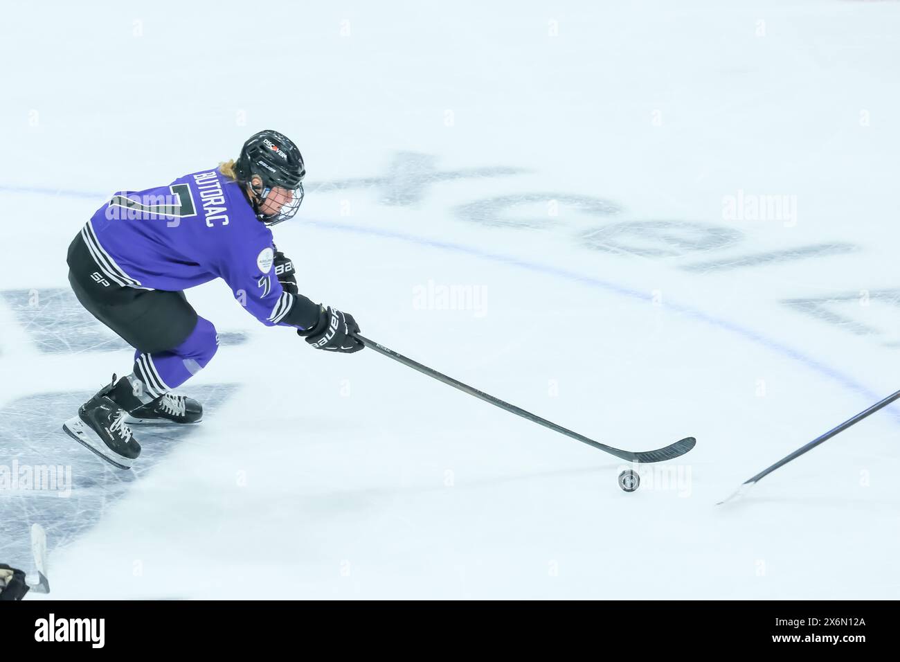 Butorac hi-res stock photography and images - Alamy