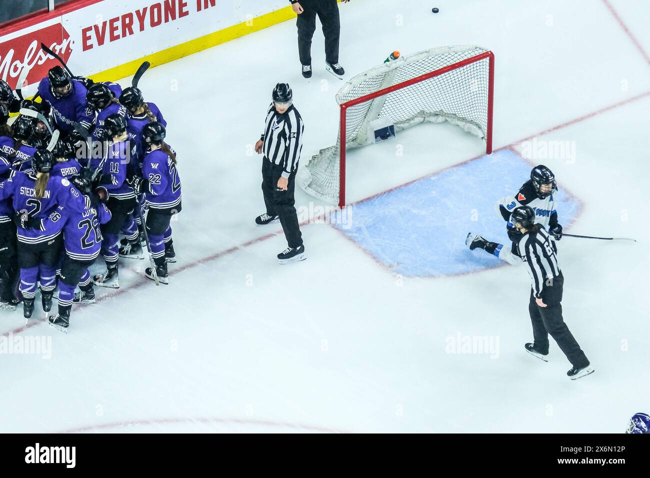 Butorac hi-res stock photography and images - Alamy