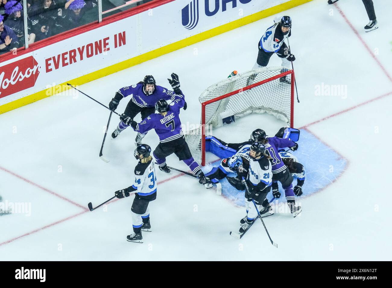 Butorac hi-res stock photography and images - Alamy