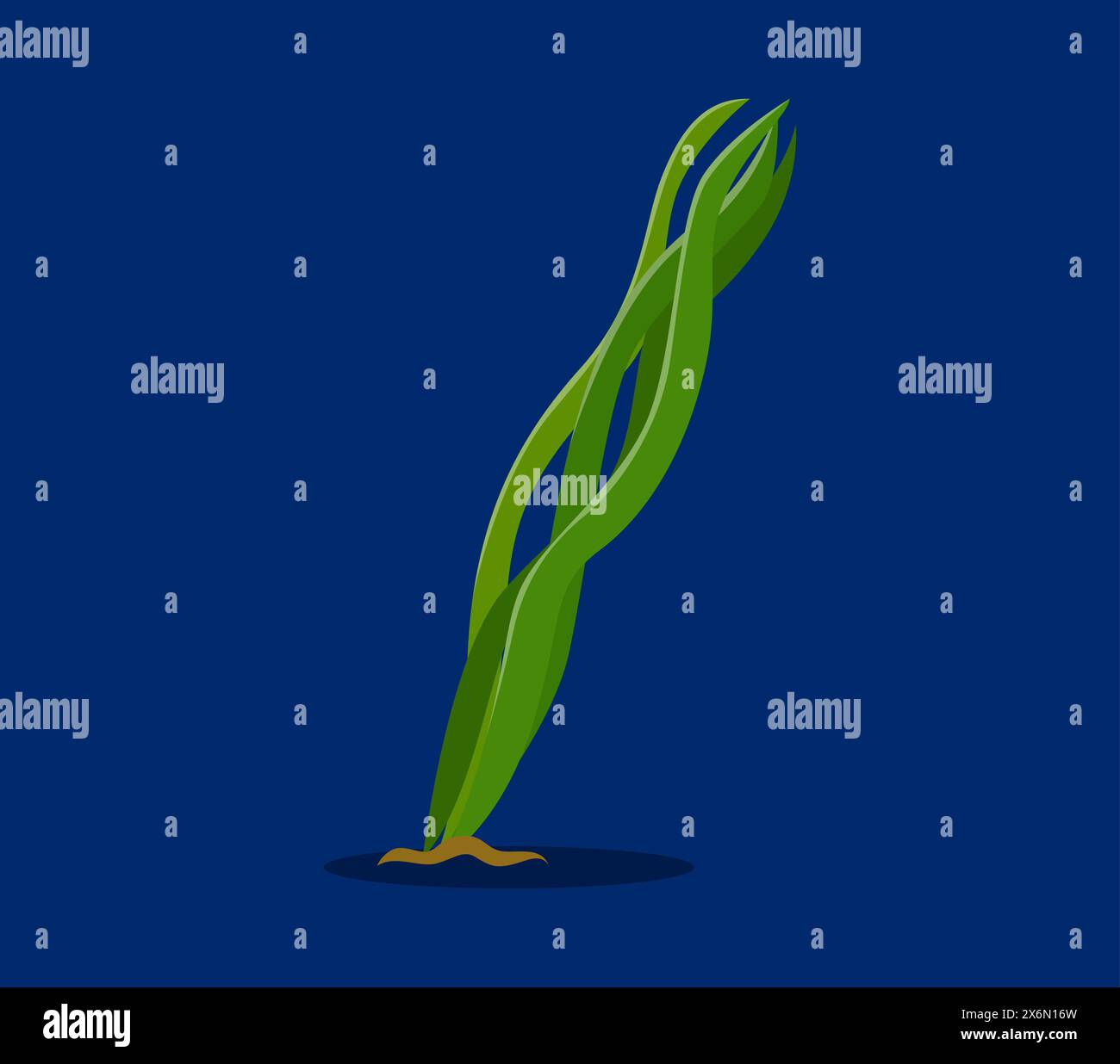 Underwater sea font or undersea type, slash punctuation mark of seaweed ...