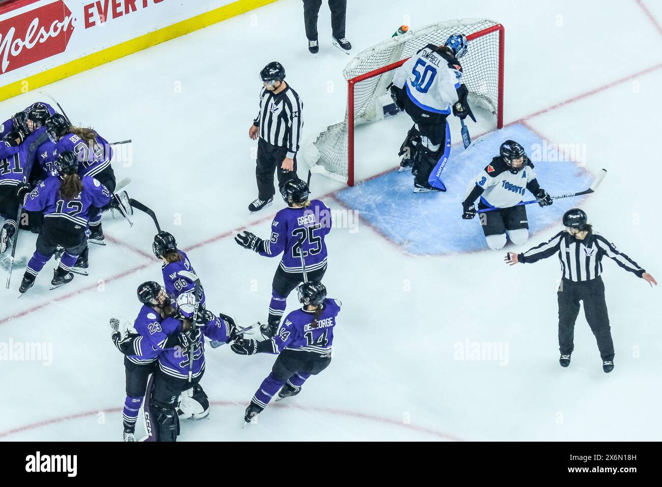 Butorac hi-res stock photography and images - Alamy