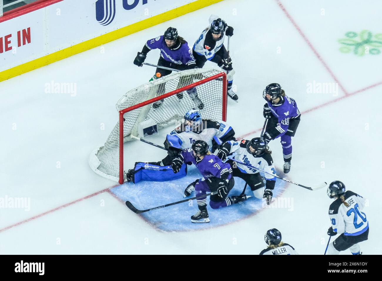 Butorac hi-res stock photography and images - Alamy