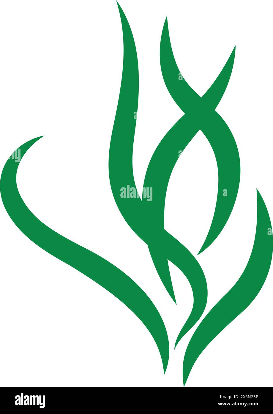 Ocean seaweed underwater Cut Out Stock Images & Pictures - Alamy