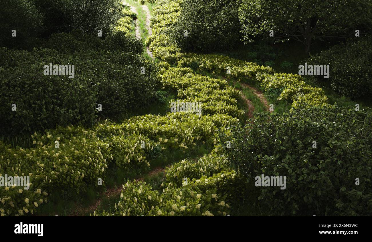 Narrow gravel path hi-res stock photography and images - Alamy