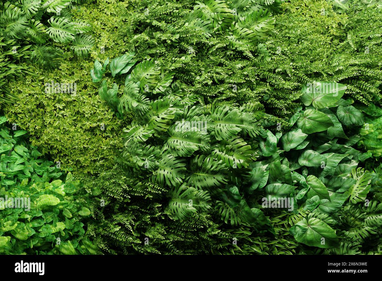 Variety of diverse plants in a beautiful vertical natural garden - 3d ...