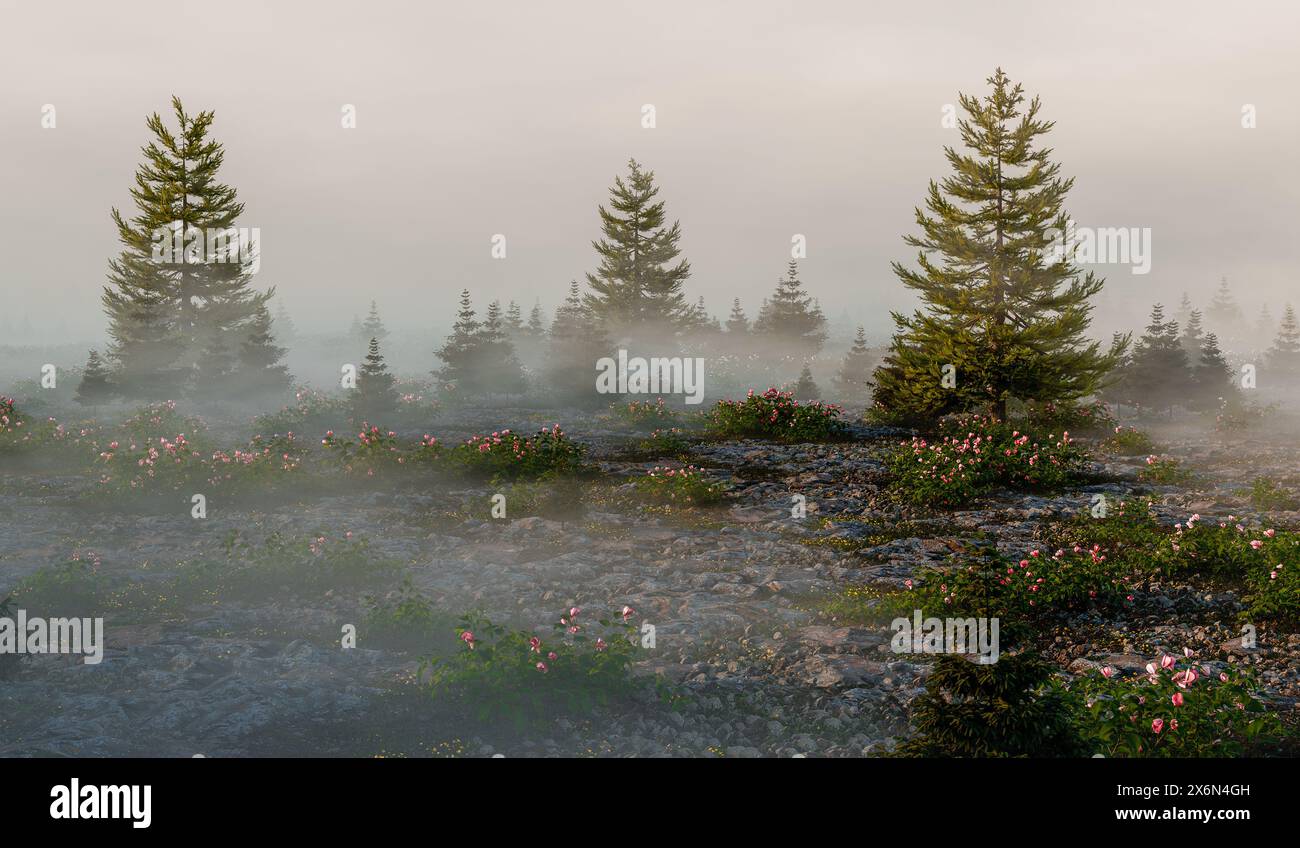 Landscape with small and large pine trees surrounded by flowers and ...