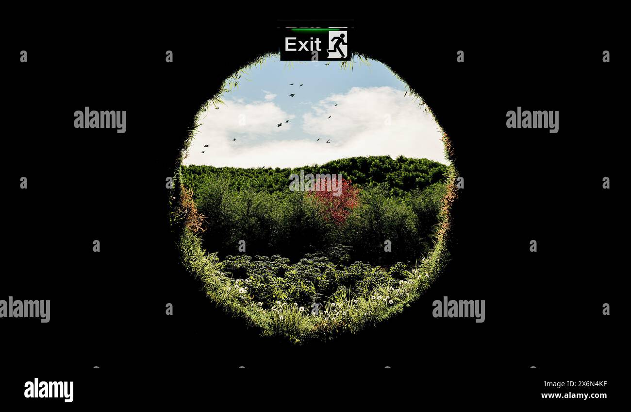 3d illustration of exit sign hi-res stock photography and images - Alamy