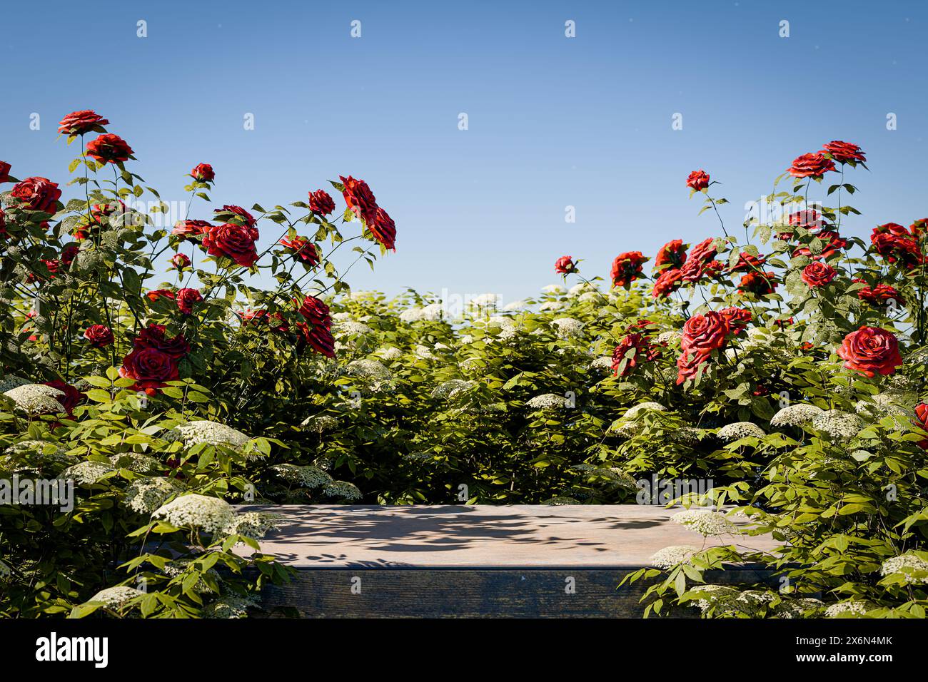 Presentation platform hi-res stock photography and images - Alamy