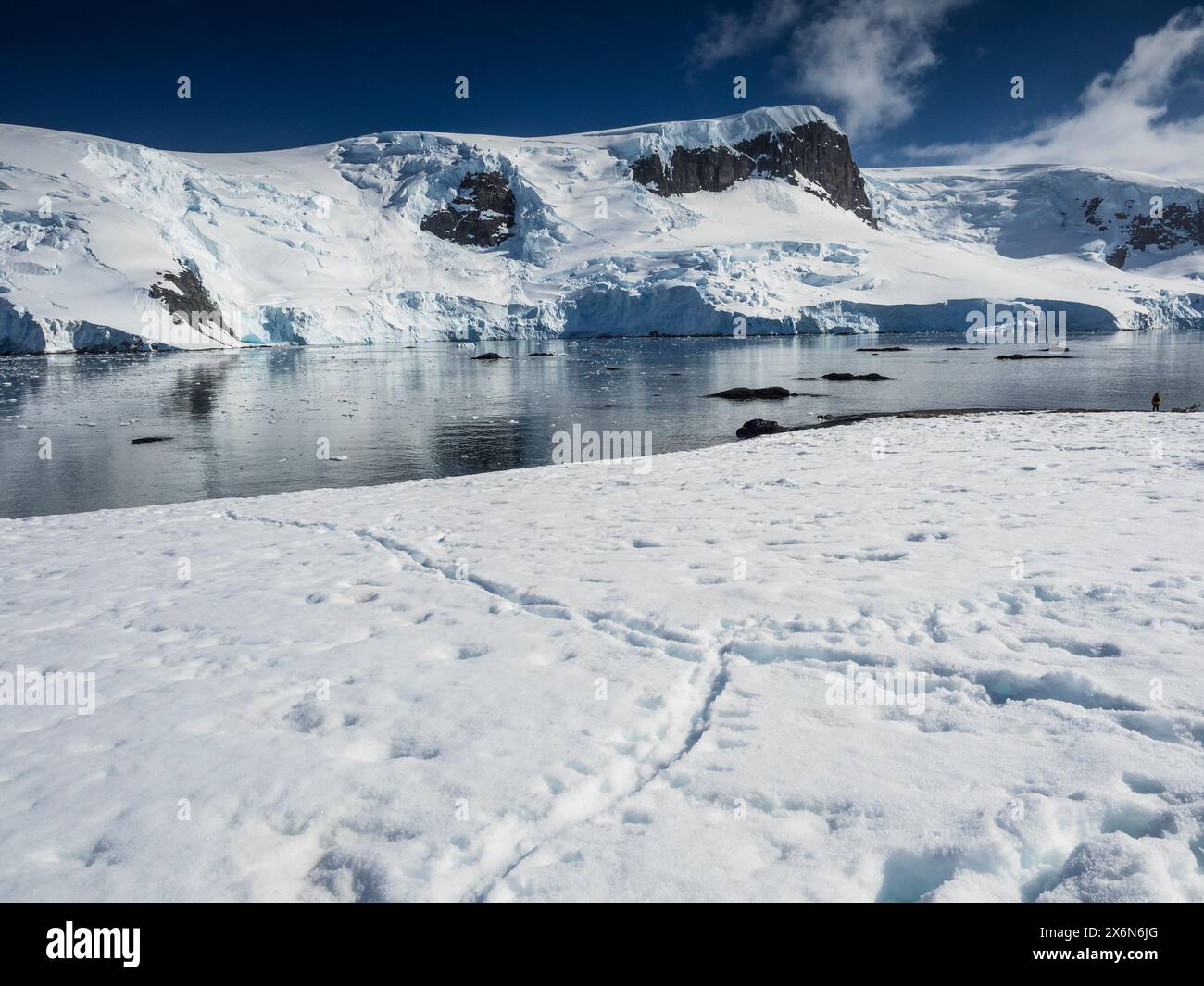 D’Hainaut Island, Mikkelsen Harbour, Trinity Island, Palmer Archipelago ...