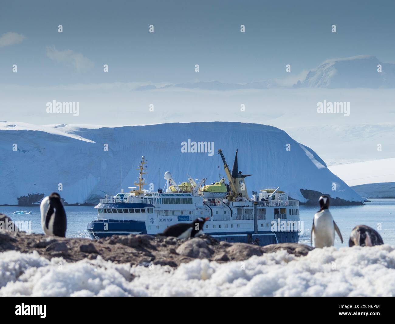 Antarctica penguin ship tourist hi-res stock photography and images - Alamy
